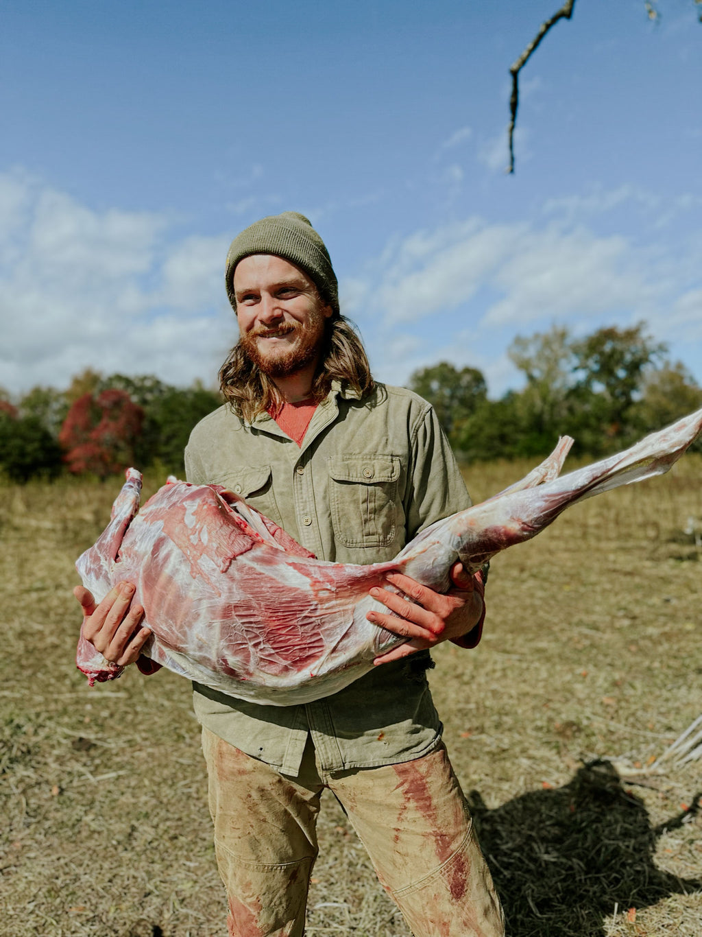 Daniel Firth Griffith, Author of Dark Cloud Country & Wild Like Flower