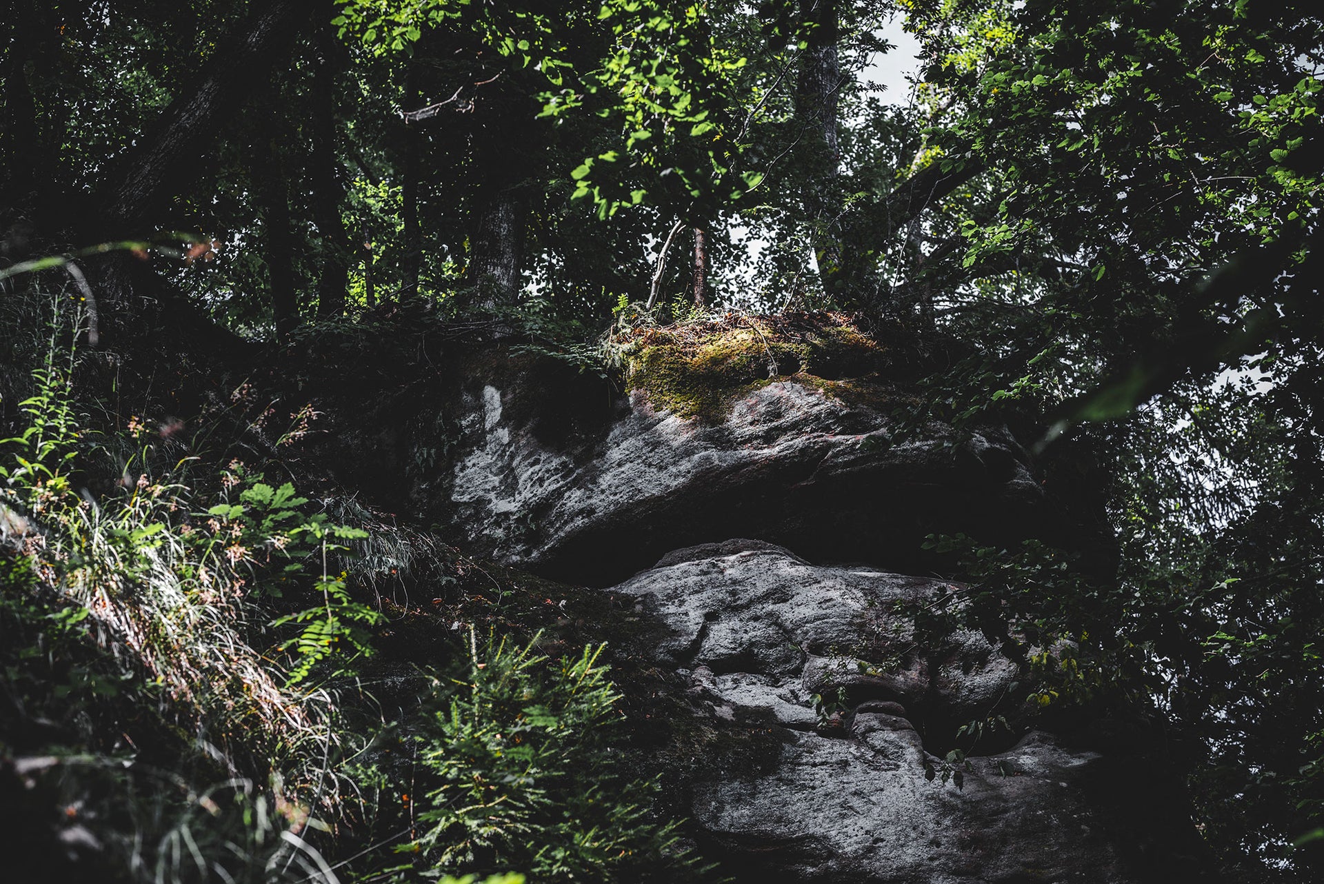 Daniel Firth Griffith, Author of Dark Cloud Country & Wild Like Flower